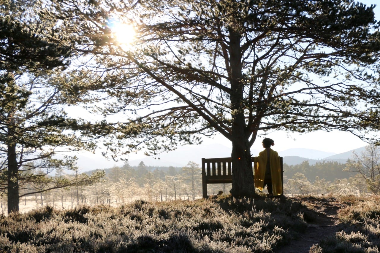 Eadfrith Wrap | Whistlebare