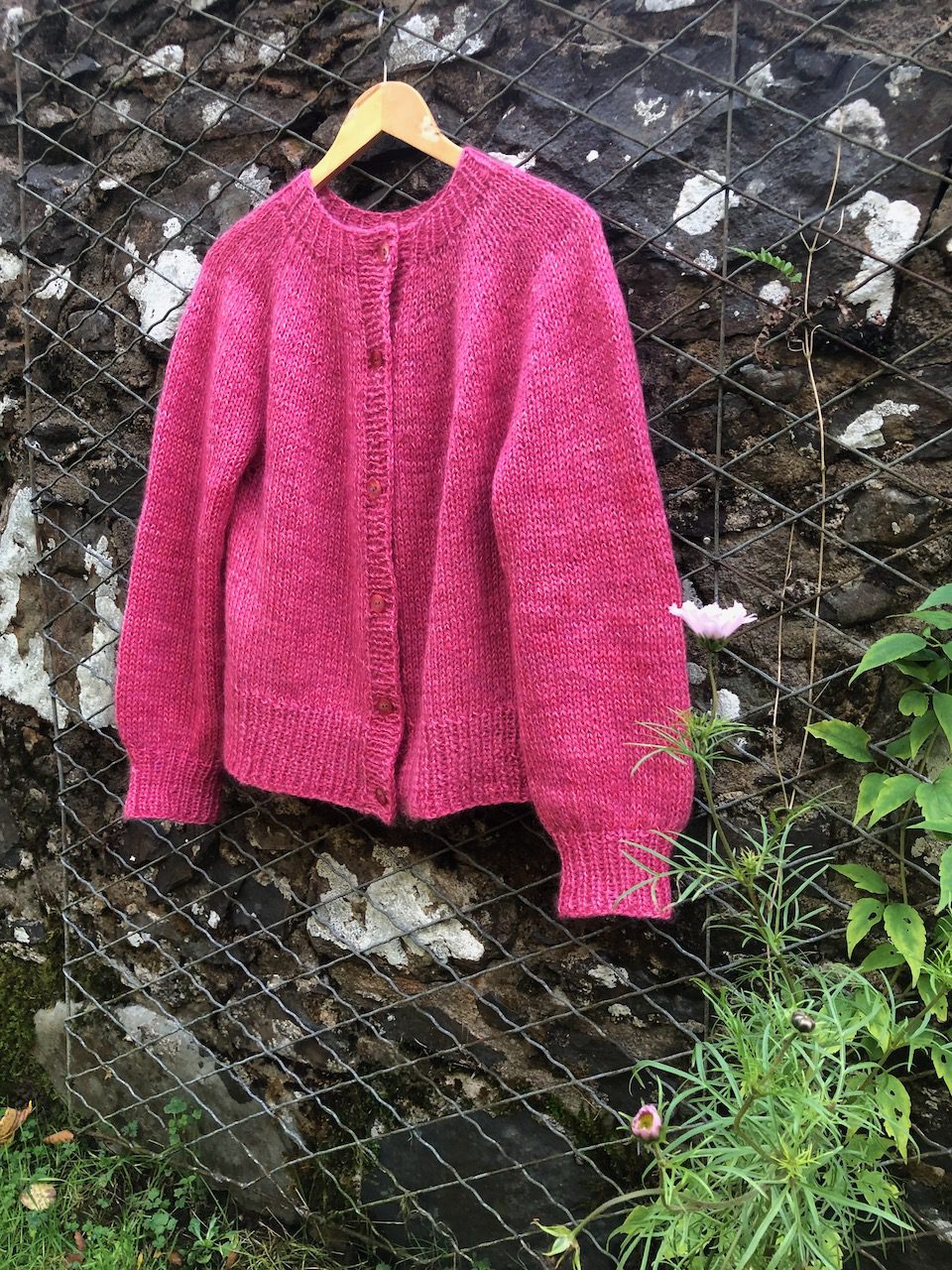 Novice Cardigan by Petite knits | Whistlebare